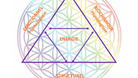 Connaissez vous le triangle de la santé? | Voyager vers soi