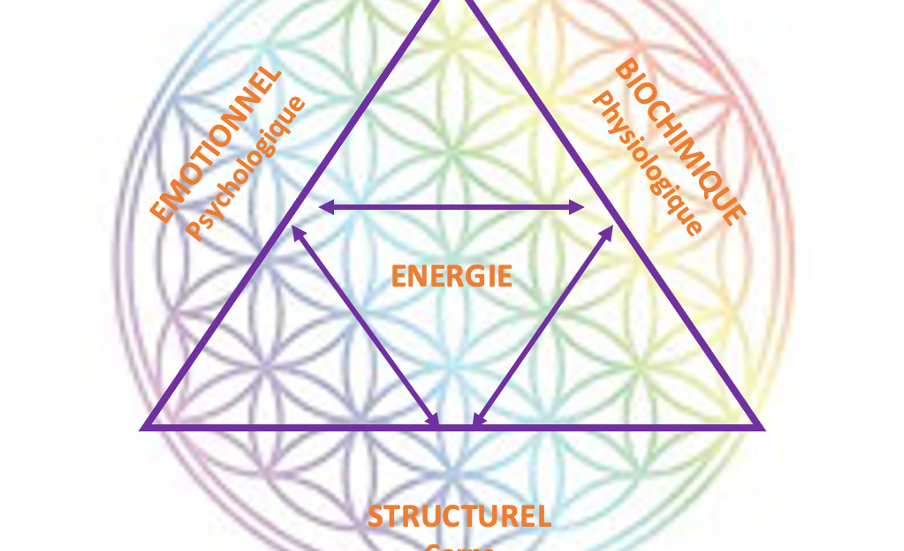 Connaissez vous le triangle de la santé? | Voyager vers soi